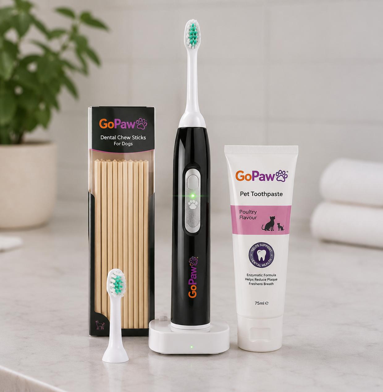 Teeth Cleaning - GoPaw